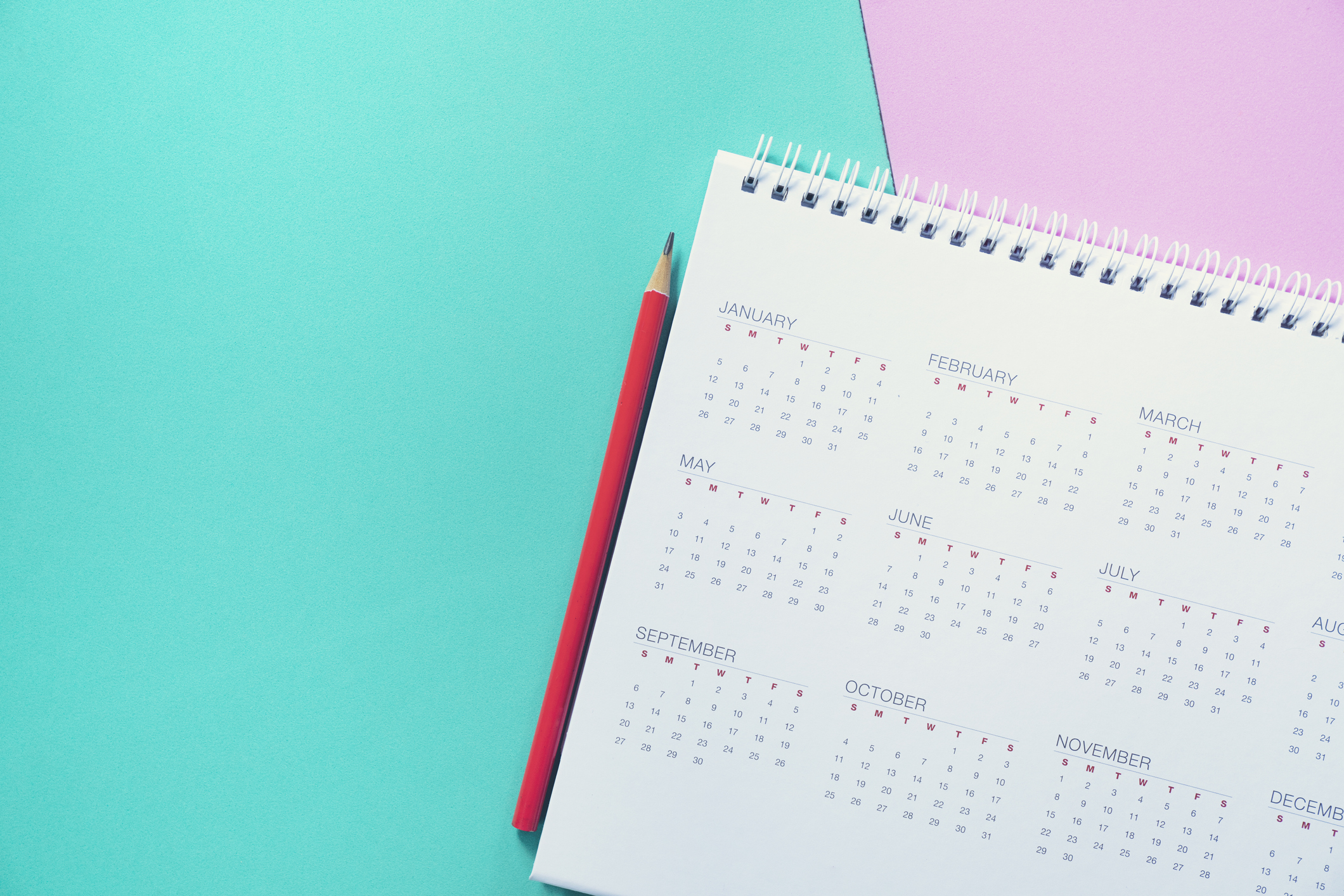 How Many Work Days In A Year 2020 